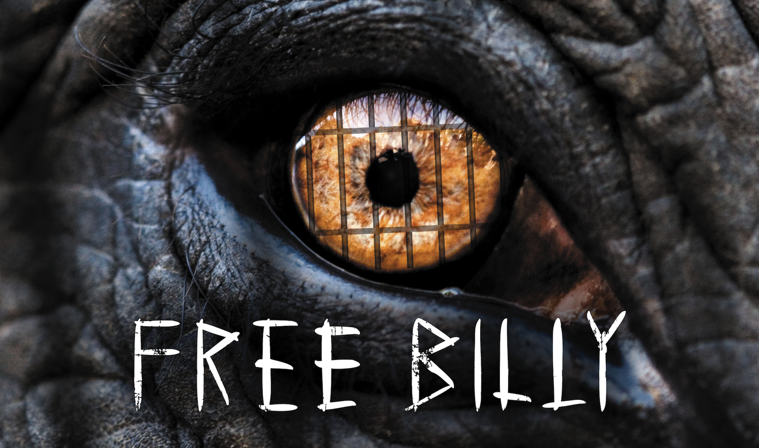 FREEBILLY - Ecoflix | World's First Not-For-Profit Streaming Platform